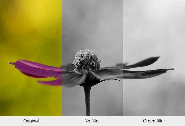 Using Coloured Filters in Black and White Photography | Photography Mad