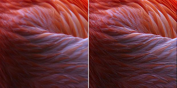 10 Ways to Digitally Improve Your Photos | Photography Mad